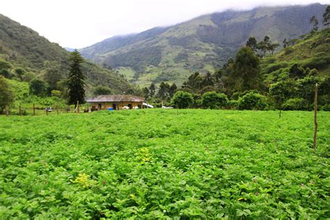 Cinco Destinos Naturales Del Valle Del Cauca Para Visitar En El 2021