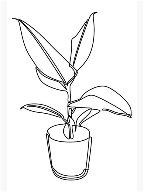 Plant Outline Drawing Ubicaciondepersonas Cdmx Gob Mx