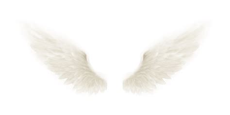 Realistic Glowing Wings Glow Glowing Wings Fantasy Cool Angel Wings