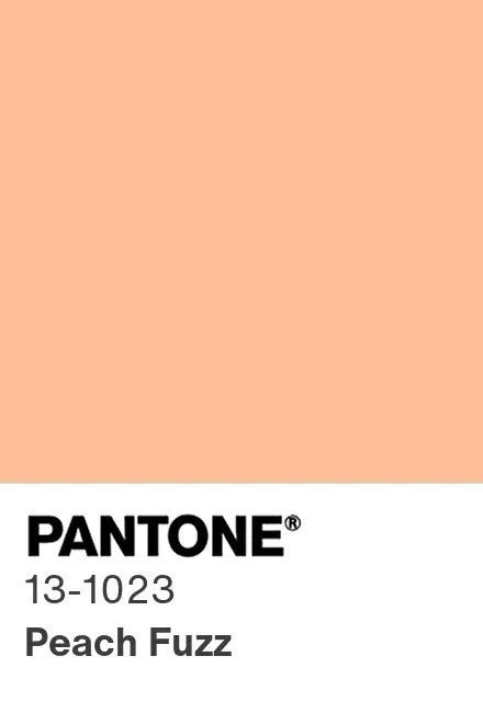 Pantone dévoile la couleur de lannée 2024 Peach Fuzz Home magazine