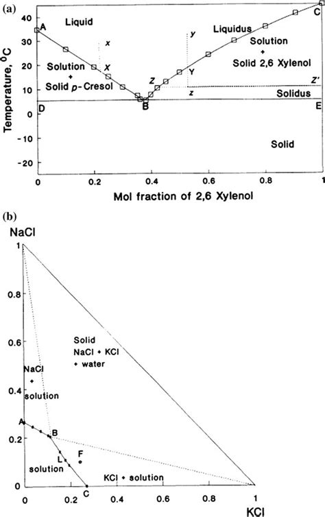 Solubility Phase Diagram Of A Binary System Xylenol And Water And B
