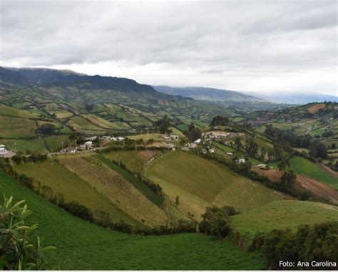 Por el Día Internacional de las Montañas líderes y expertos se