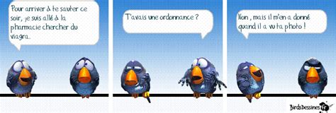 Les Birds Dessin S Humour Oiseaux Rire Blague Pour Rire