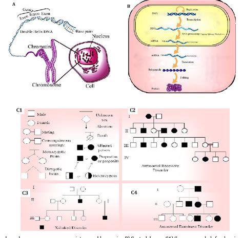 figure 1 from an overview of mutation detection methods in genetic disorders semantic scholar