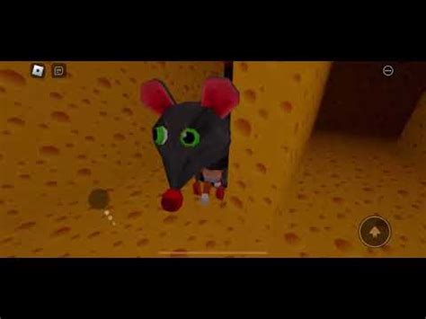 Playing Cheese Escape Youtube