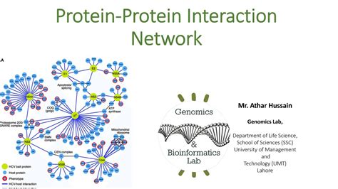 Protein Protein Interaction Network String Database Network Biology