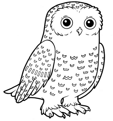Desenhos De Coruja Para Colorir E Imprimir Aprender A Desenhar