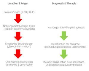 Bedeutung Nahrungsmittel Allergie Diagnostik FOODSensor