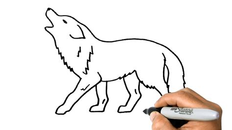 How To DRAW A WOLF Easy Step By Step YouTube