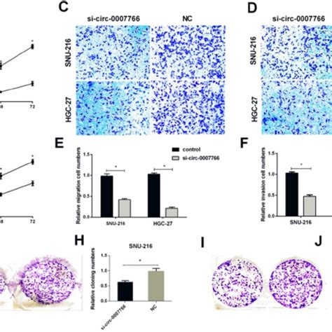 Down Regulated Hsa Circ 0007766 Inhibited The Progression Of GC Cells