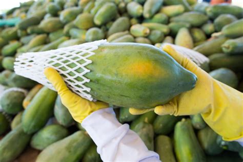 Campo Futuro levanta custos de produção em 5 estados Confederação da