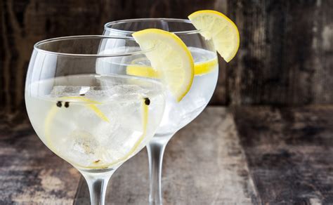 20 receitas de gin tônica sabor aromático e surpreendente