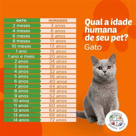 Qual é a idade do seu pet comparado à idade humana