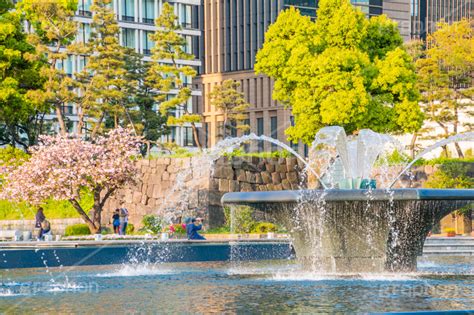 春の和田倉噴水公園 グラフォン無料素材