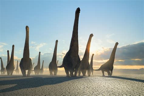 X Resolution Hd Prehistoric Planet X Resolution