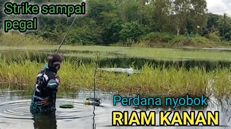 MANCING NILA DIRIAM KANAN STRIKE SAMPAI PEGAL NYOBOK MANIA SPOT