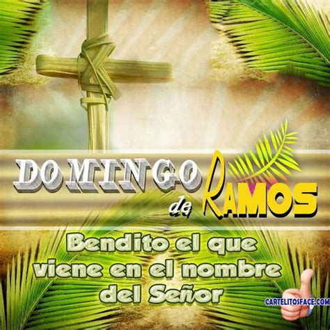 Domingo de Ramos 2023 Frases e imágenes para compartir al inicio de