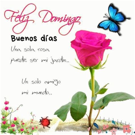 Pin de Natália Viana en Bom Dia Boa Tarde Jardines Bendiciones