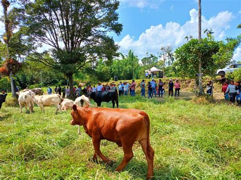 Productores De Morona Santiago Emprenden Acciones Para Hacer Una