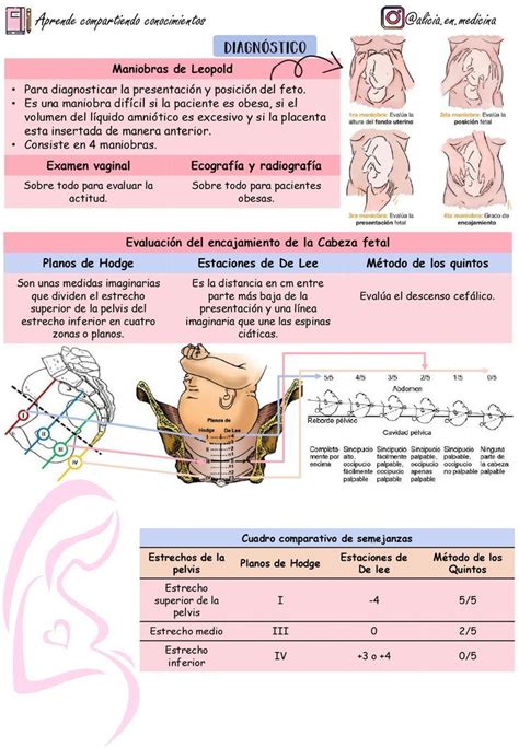 Parto eutócico 3 Enfermería obstetricia Gineco obstetricia