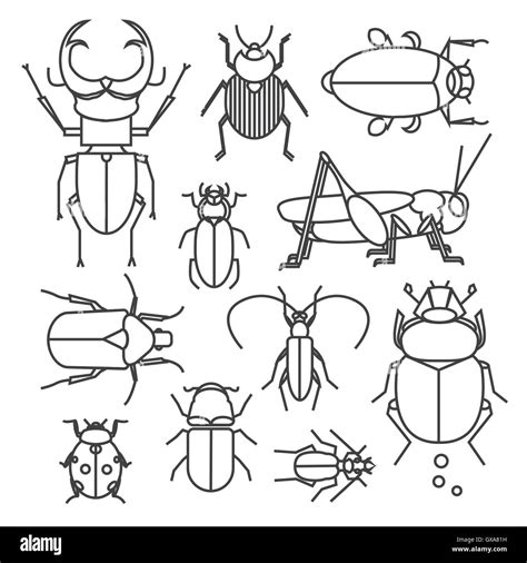 Colecci N De Vectores De Distintos Insectos Conjunto De Iconos De
