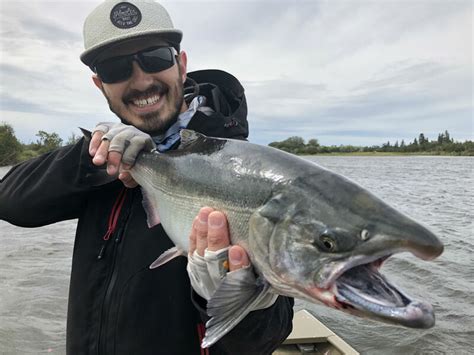 Alaska Silver Salmon Fishing ANGLER S ALIBI