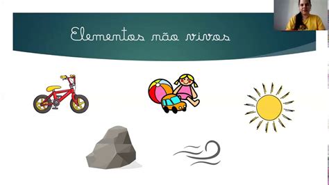 Elementos N O Vivos Artificiais Braincp