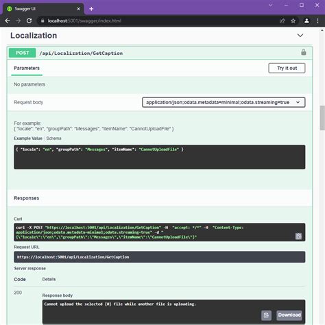 xaf 2022 roadmap cross platform app ui and web api service