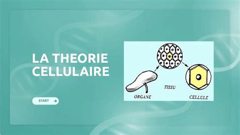 la théorie cellulaire