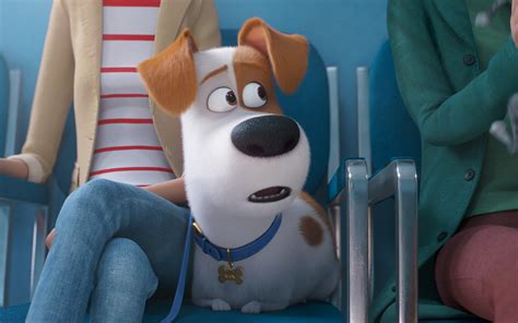 Sessão da Tarde veja os filmes que serão exibidos na TV Globo na