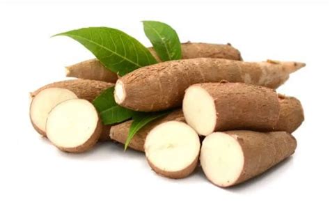 Yuca Que es Origen Beneficios Tipos Valor Nutricional y más
