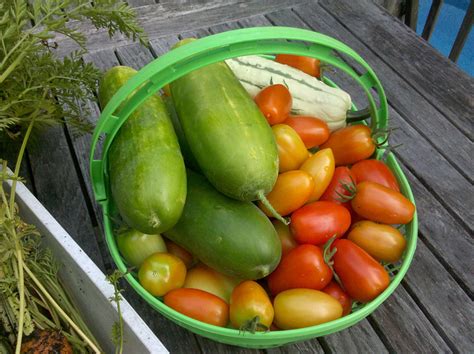 Vegetables Nc State Extension