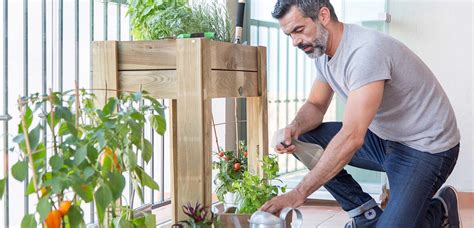 Cómo Montar Un Huerto En La Terraza Consejos Ideas Y Trucos lupon