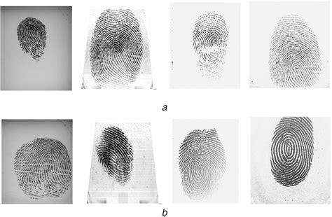 fingerprint liveness detection based on guided filtering and hybrid image analysis tan 2020