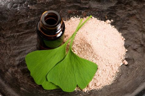 GINKGO BILOBA propiedades para qué sirve cómo tomarlo y