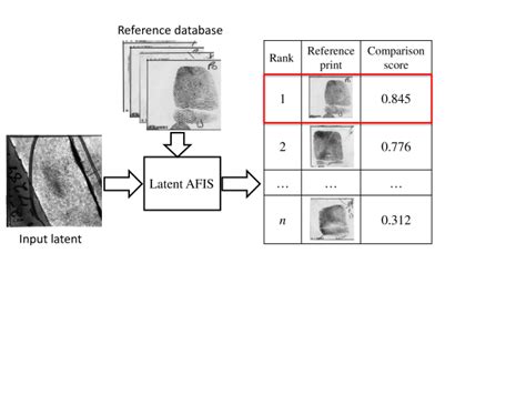 automated latent fingerprint recognition deepai