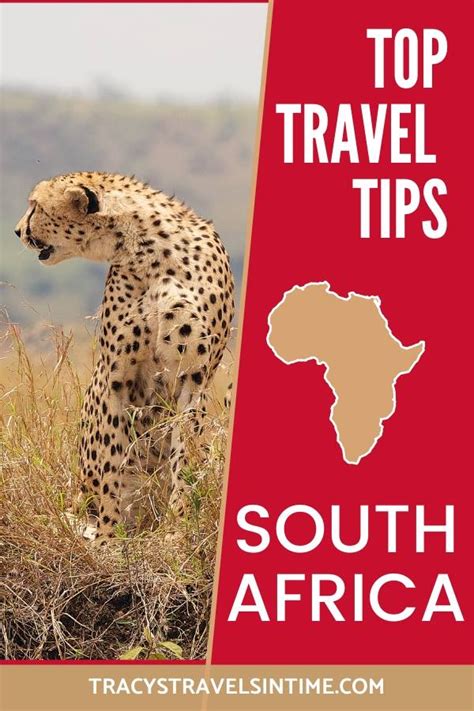 12 Essential South Africa Travel Tips Things Not To Do When You Visit Artofit