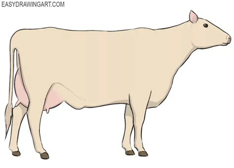 How To Draw A Cow Easy Drawing Art