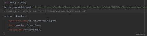 Python Undetected Chromedriver Python