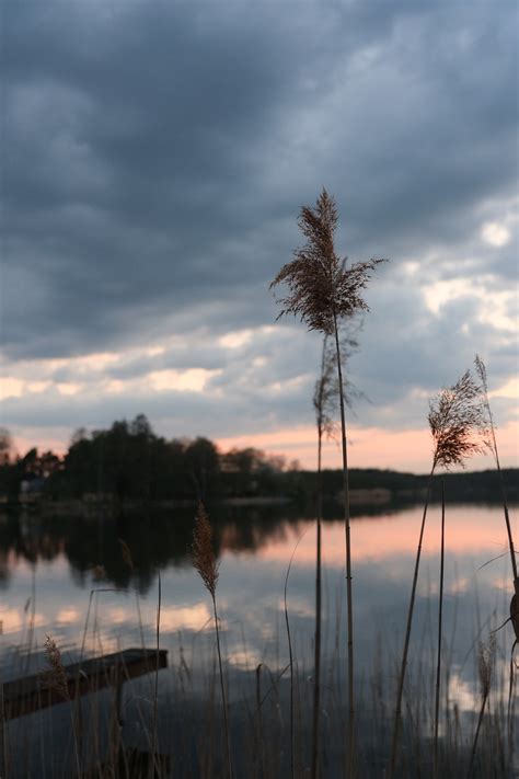 Lac Le Coucher Du Soleil Ciel Photo Gratuite Sur Pixabay Pixabay