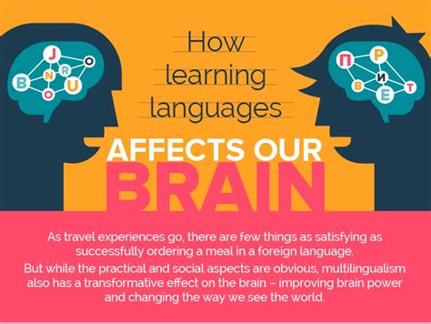 How Learning Languages Affects Our Brains 1000 Infographics Posters