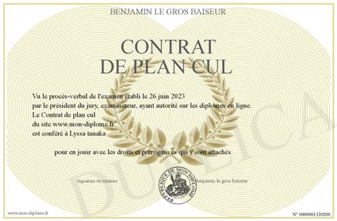 Contrat De Plan Cul