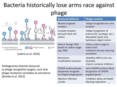 Applications Of Bacteriophage In A Multi Drug Resistant World Ppt