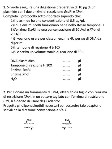 Esercizi Tecnologie Del Dna Ricombinante Xhoi Ctcgag Gagctc Psti