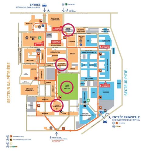 plan récithérapie Hôpitaux Universitaires Pitié Salpêtrière
