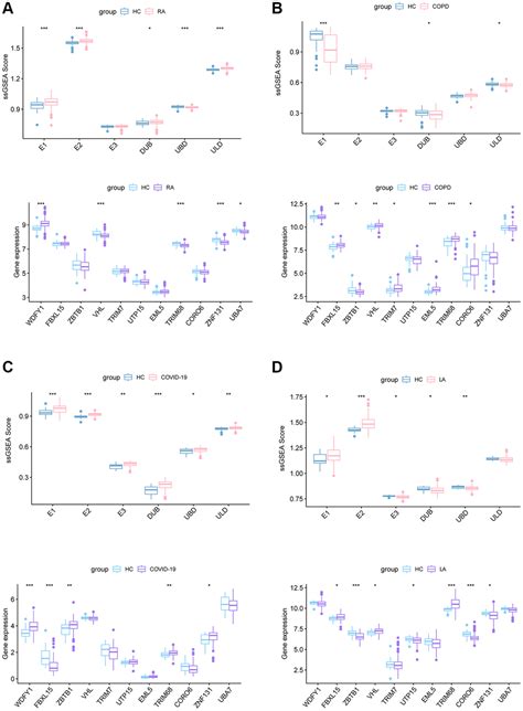 Identification And Validation Of Ubiquitination Related Signature And