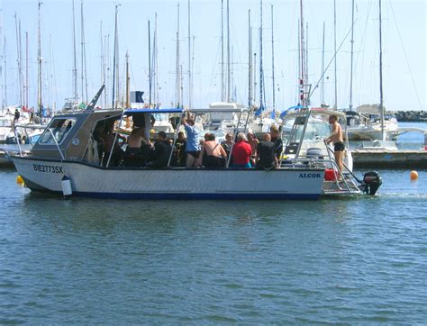 Dive Support Boat ALCOR Chantier Naval Delavergne Outboard