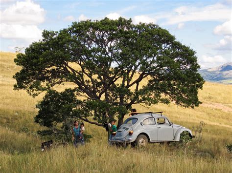 Fusca Você nunca precisou de um como agora Fusca 76 d Flickr