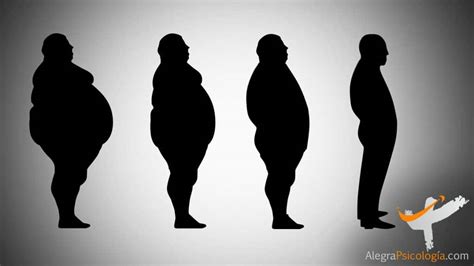 Obesidad vs sobrepeso es lo mismo Alegra Psicólogos Málaga