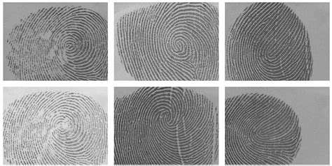 fingernet pushing the limits of fingerprint recognition using convolutional neural network deepai
